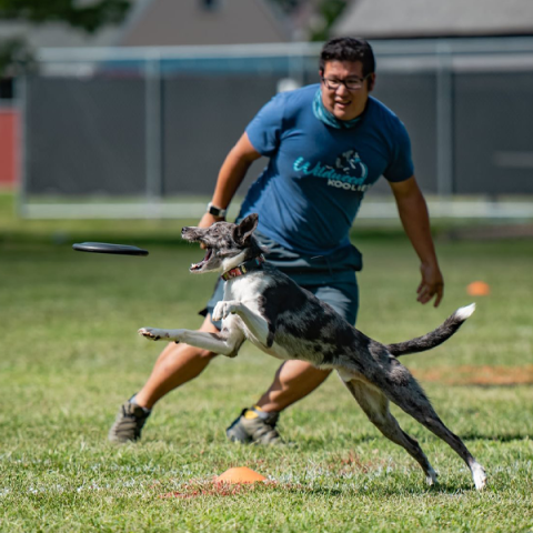 Michael Teh - On the Run Canine Center in Ham Lake, MN